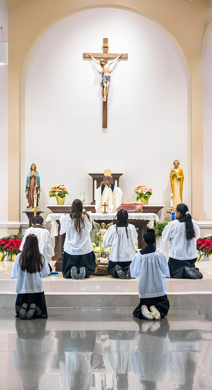 Mass Intentions – Our Lady of the Rosary